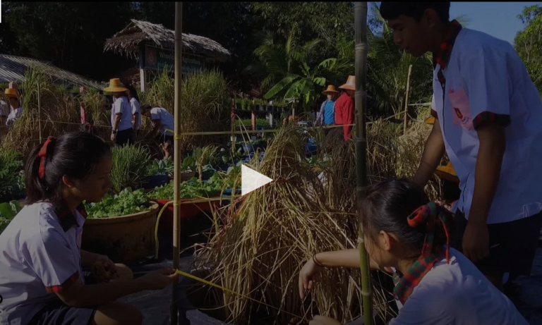 How this Thai educational movement empowers rural students – EquityEdHub